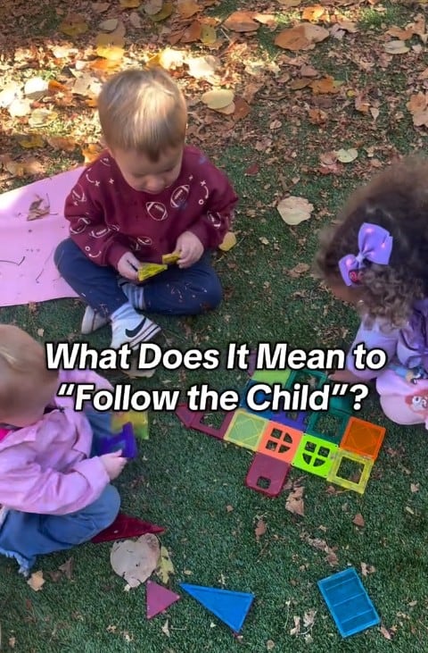 What Does Follow the Child Mean in Child Development